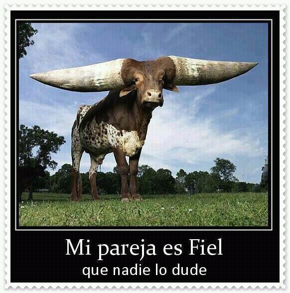 fiel ._____. - Meme subido por jonne.chido :) Memedroid