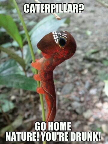 Nature - Meme by munchkin1862 :) Memedroid