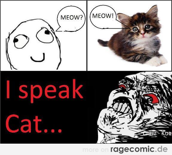 i speak cat - Meme by rayanxrock :) Memedroid