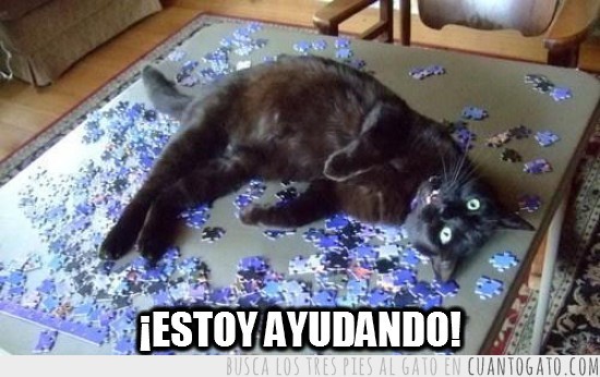 El gato troll - Meme subido por YouKnowWhatIMean :) Memedroid