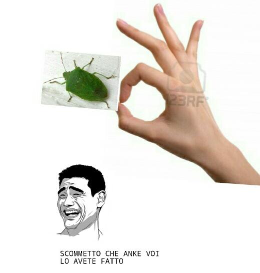 anke voi lo avete fatto - Meme by rickymeme :) Memedroid