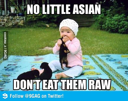 dont eat them! !*-* - Meme by nickizet830 :) Memedroid