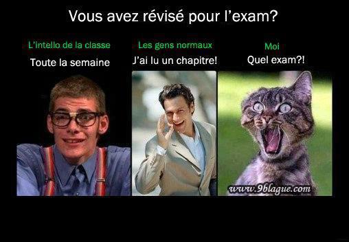 ws - Meme subido por ridvan :) Memedroid