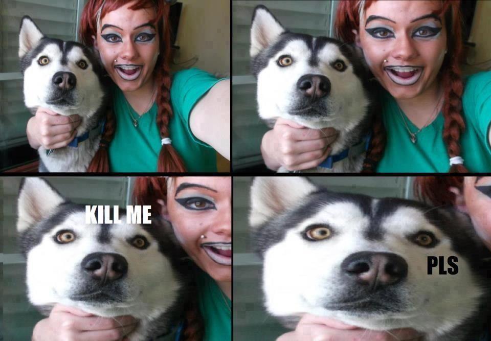 kill me - Meme subido por master-cote :) Memedroid