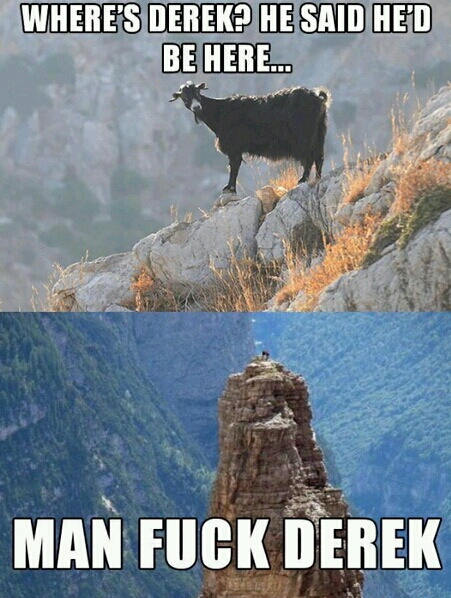 Derek Goat Meme Derek Gonzalez CEO, Founder Of Goat Hospitality