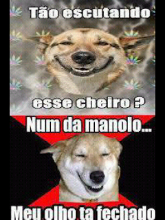 dorgas manolo?? - Meme by Liih_Trollina :) Memedroid