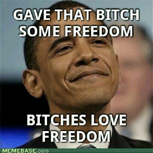 Freedom. Bitches love it. - Meme subido por Contagious_Waffles :) Memedroid