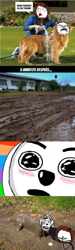 ahh perros - Meme subido por chanchovalderrama1 :) Memedroid