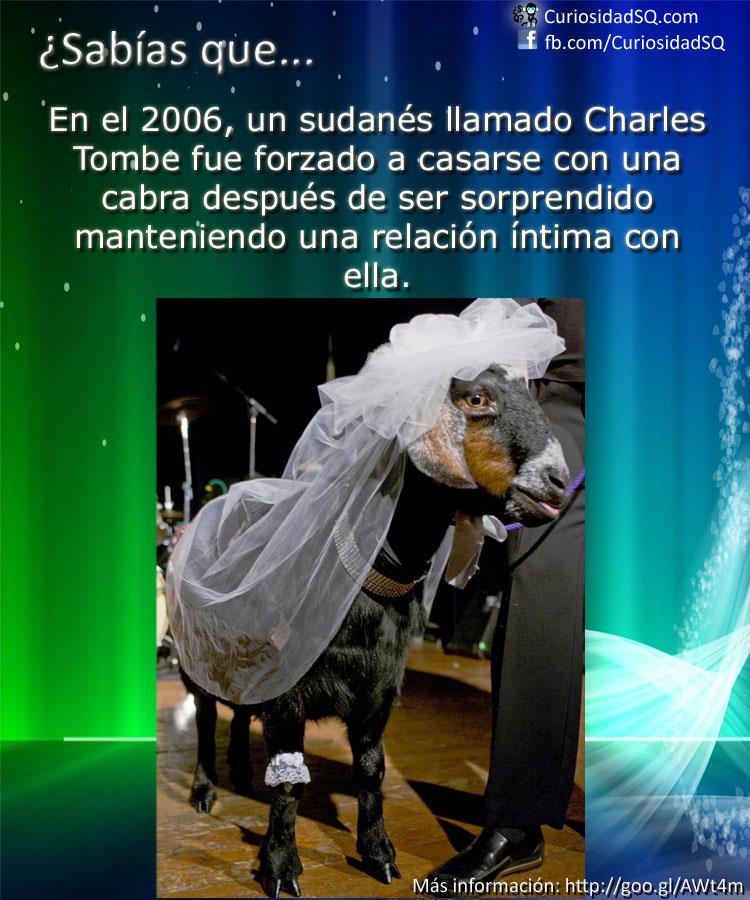 ¿sabias que? - Meme subido por gildelossantos4 :) Memedroid