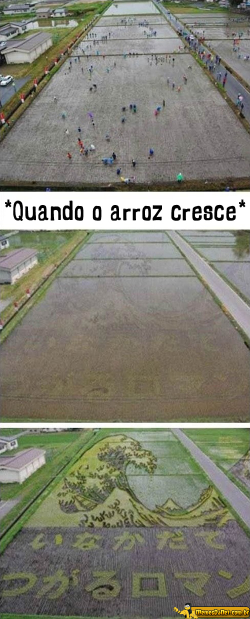plantando arroz. - Meme subido por AnaLovato_ :) Memedroid