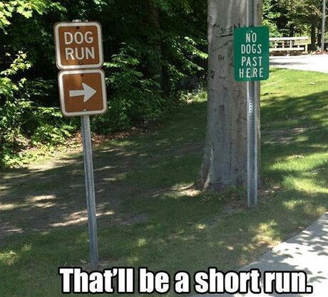 Shorty Meme Run
