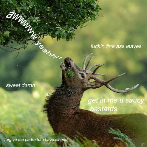 ooooooo yes - Meme by traebo76 :) Memedroid