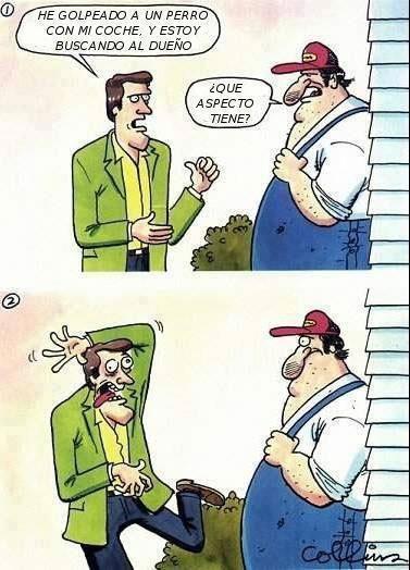 Perro Atropellado - Meme subido por Pumaro :) Memedroid