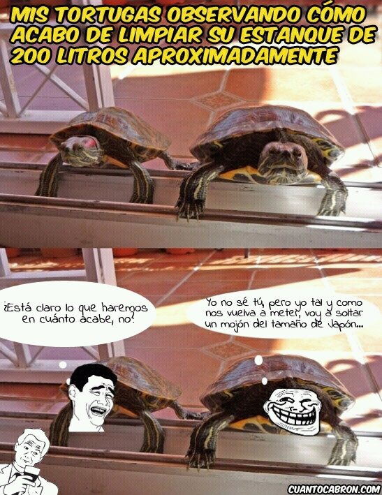 LOL - Meme subido por .-FireHawk-. :) Memedroid