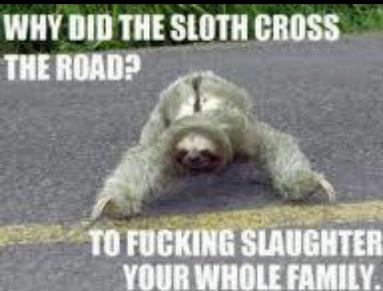 SLOTH! - Meme by bvbeyourself :) Memedroid