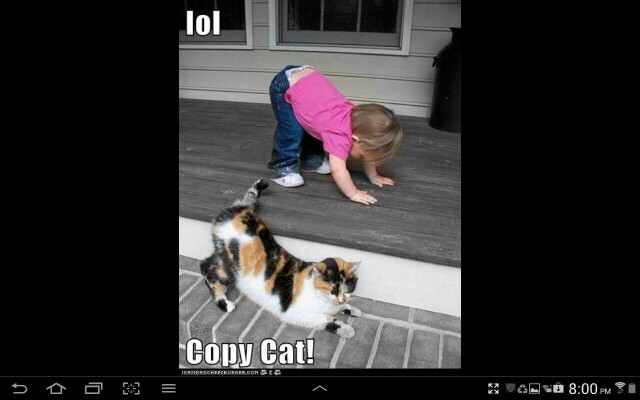 copay kitteh - Meme by a.troll :) Memedroid