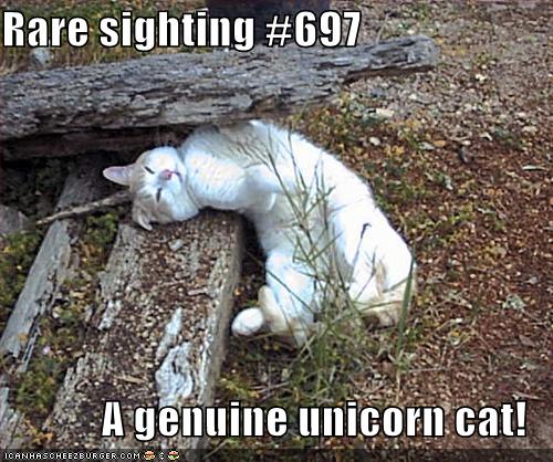 its rare!!!! - Meme by IVABRI0197 :) Memedroid