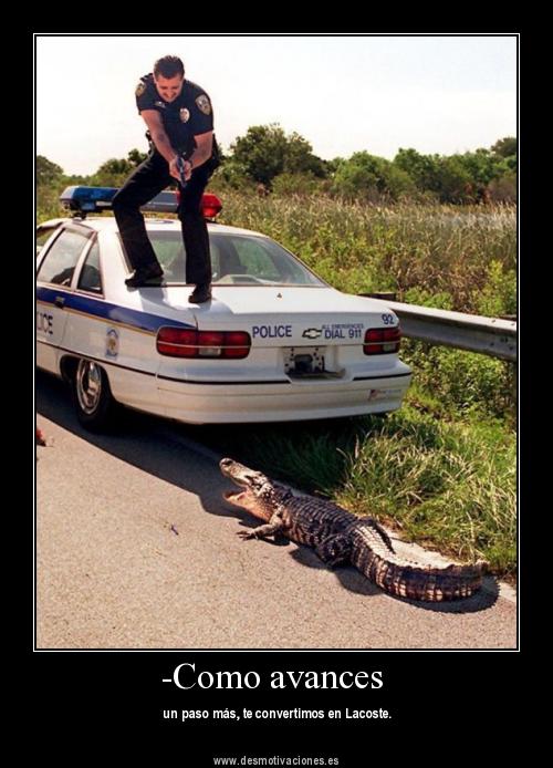 lacoste - Meme subido por arminjhonatan :) Memedroid