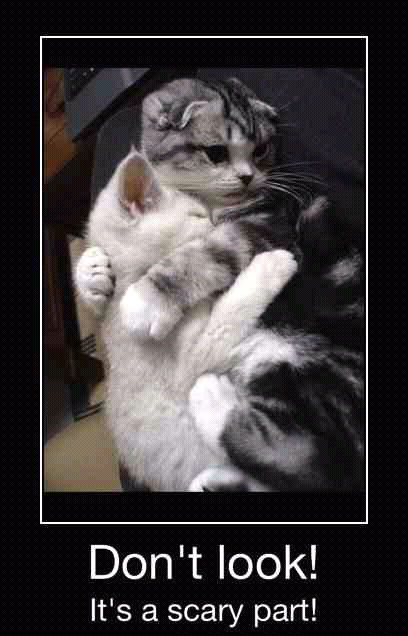 ahhh scary don't look!!! - Meme by serenitym831 :) Memedroid