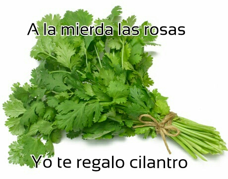 mejor cilantro - Meme subido por urferu :) Memedroid