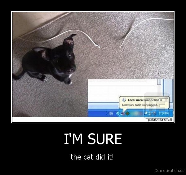 The cat broke my interwebs. - Meme by Cookie_Monster14 :) Memedroid