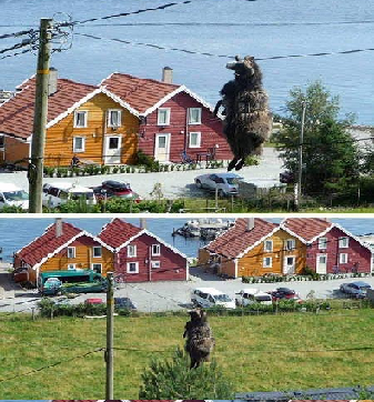 How is that possible? - Meme by lalulek13 :) Memedroid