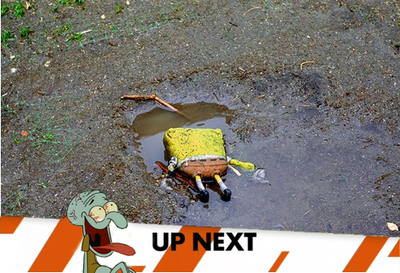 Inappropriate Timing Spongebob Memes 34 Funny Movie Memes That Hit