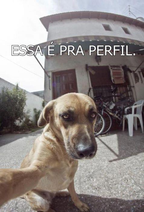 Estiloso pro face - Meme by lgleonel.s2 :) Memedroid