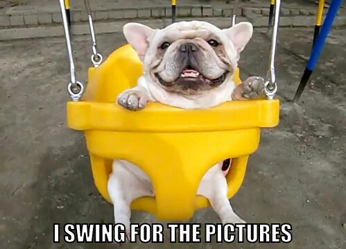 Just joined the swingers club - Meme by Taco033 :) Memedroid