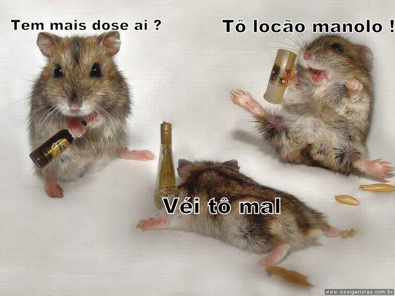 ratos doidões - Meme by reinan :) Memedroid