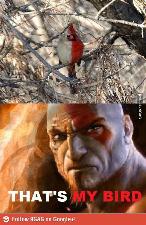 Ese es mi pajaro! - Meme by Memelandia :) Memedroid